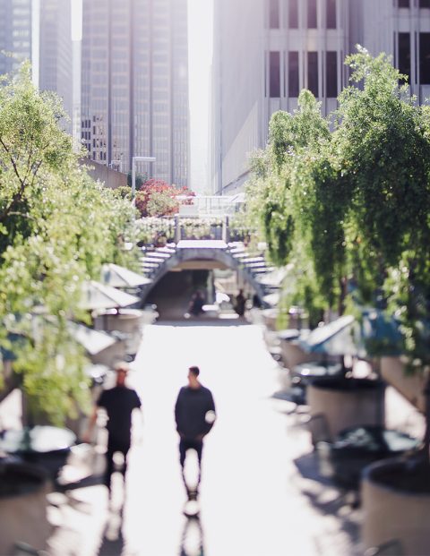 InnovaIT Professional Services | Business consulting, training, and ...